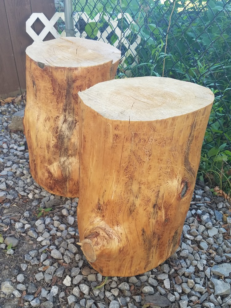 DIY Tree Trunk Benches